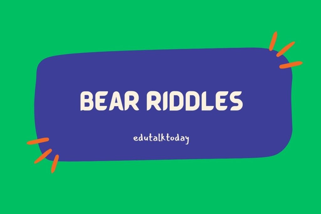 40 Bear Riddles with Answers - EduTalkToday