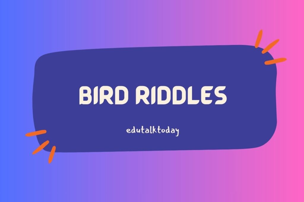 51 Bird Riddles with Answers - EduTalkToday