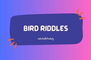 51 Bird Riddles with Answers - EduTalkToday