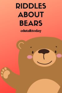40 Bear Riddles with Answers - EduTalkToday