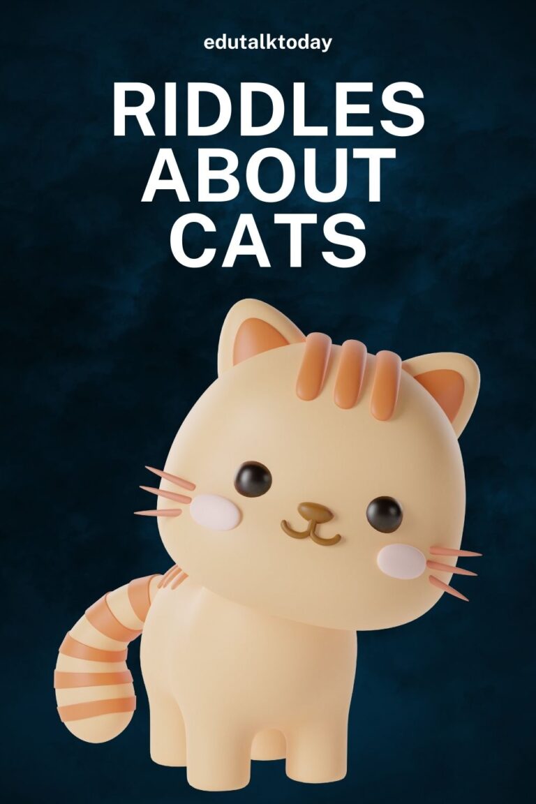 52 Cat Riddles with Answers - EduTalkToday