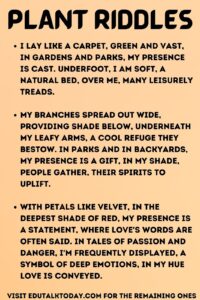 30 Plant Riddles - EduTalkToday