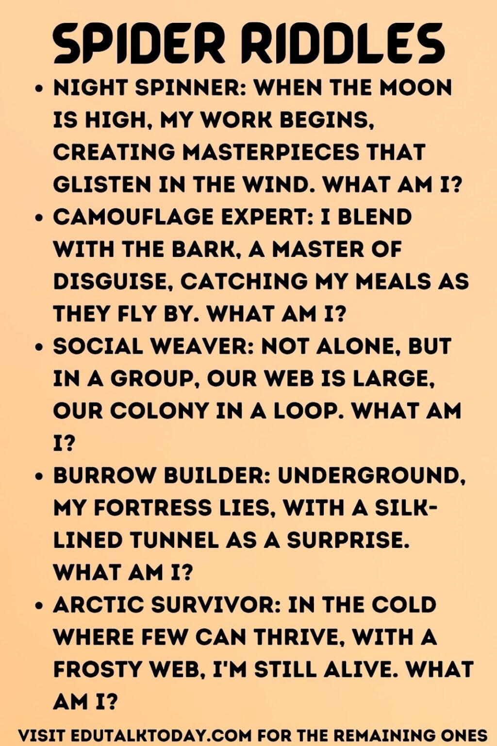 44 Spider Riddles - EduTalkToday