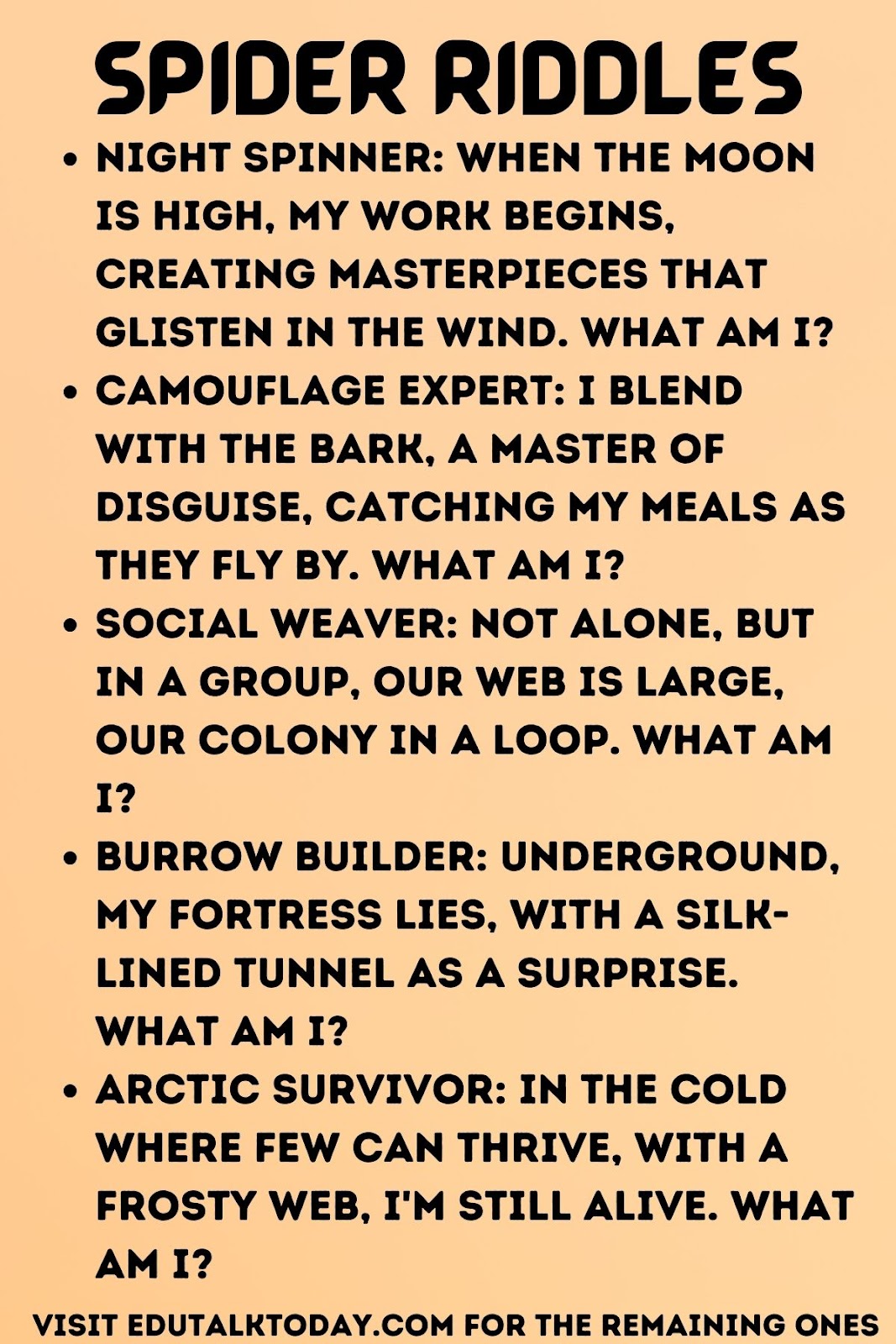 44 Spider Riddles - EduTalkToday