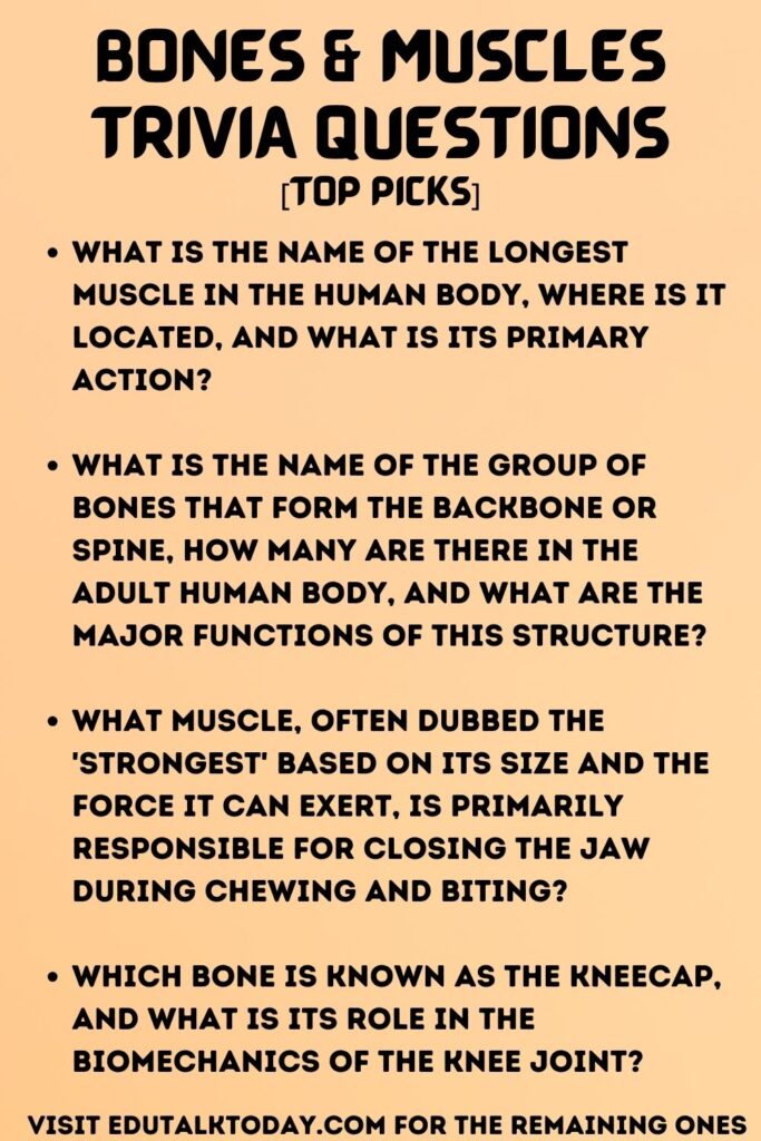 24 Bones and Muscles Trivia Questions - EduTalkToday