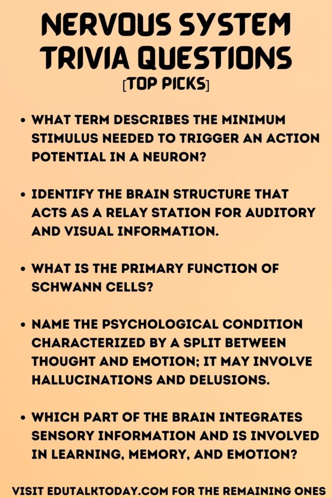 43 Nervous System Trivia Questions - EduTalkToday